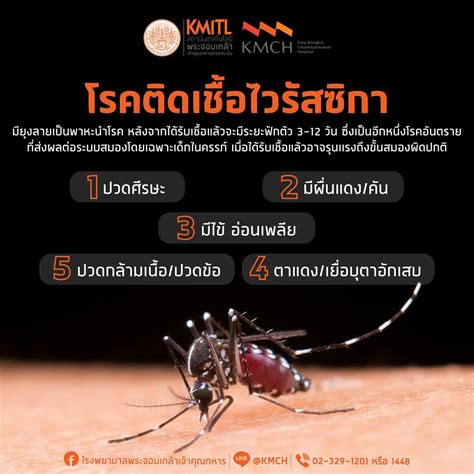 โรงพยาบาลพระจอมเกล้าเจ้าคุณทหาร โรคติดเชื้อไวรัสซิกา 🦟 เนื่องจากช่วงนี้ยังคงมีฝนตกอยู่ ทุกคน