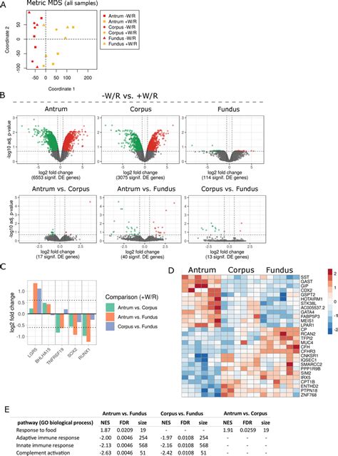 Differential Gene Expression In The Stomach A Mds Of Gene Expression