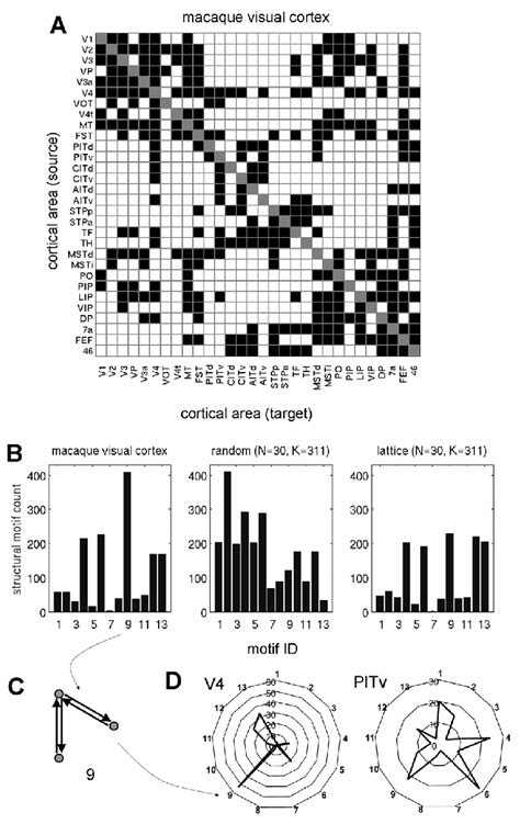 Structural Motifs In Macaque Visual Cortex A Adjacency Matrix Of