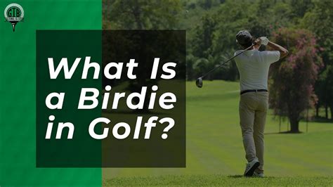 What Is A Birdie In Golf Definition Tips And Scoring