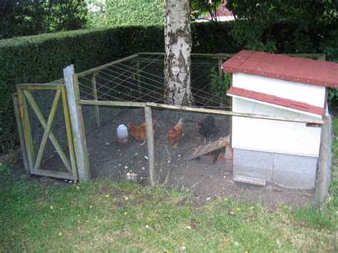 grynx automated chicken feeder