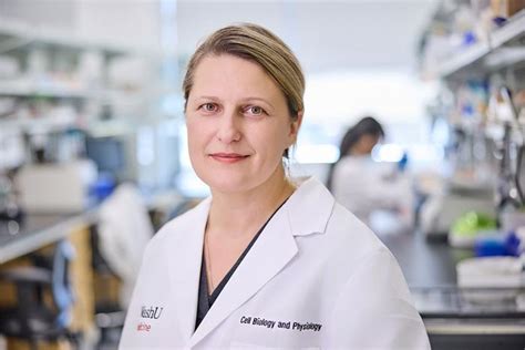 Temperature Sensitive Switch Triggers Sperm Activation Crucial For