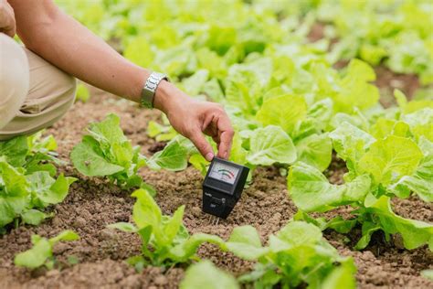 What Is Soil And Water Sensors In Agriculture At Sandra Wells Blog What Is Soil And Water Sensors In Agriculture At Sandra Wells Blog