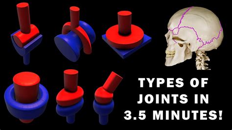 JOINT ANATOMY In 3 5 MINUTES YouTube