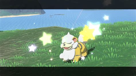 [8] Shiny Hisuian Growlithe R Shinypokemon