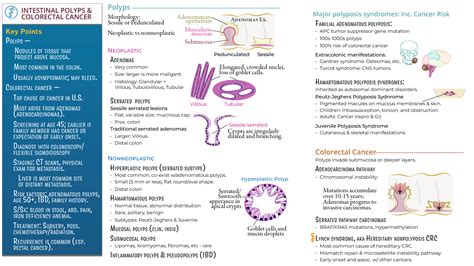 Clinical Pathology Intestinal Polyps And Colorectal Cancer Ditki Medical And Biological Sciences