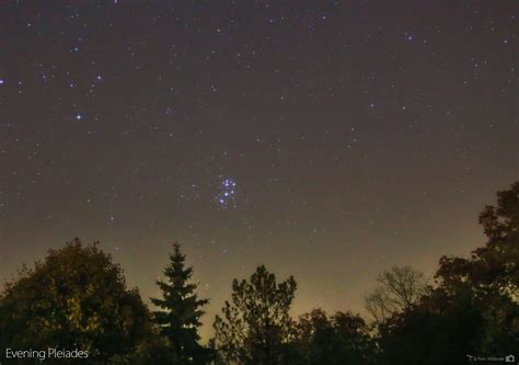 Pleiades Constellation Location