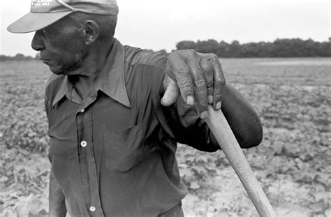 The Authentic Truth About Sharecropping During The Jim Crow Era The
