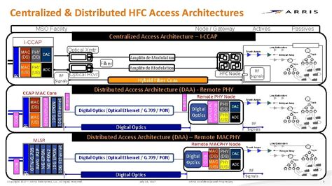 Introduction To Distributed Access Architecture Daa Rphy Scte