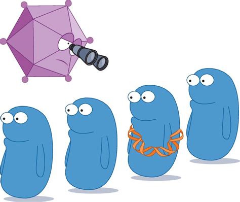 Plasmid Dependent Phages Used To Be Used In Phage Typing But Havent