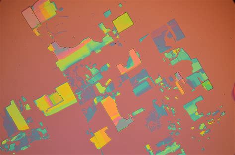 Functionalization And Magnetism In 2d Materials Research Communities