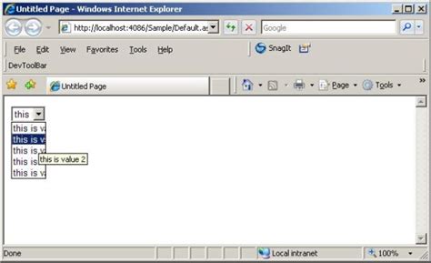 Adding A Tool Tip To Dropdown List And List Box Controls In Internet Explorer Codeproject