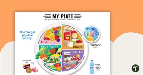My Plate Poster Teaching Resource Teach Starter