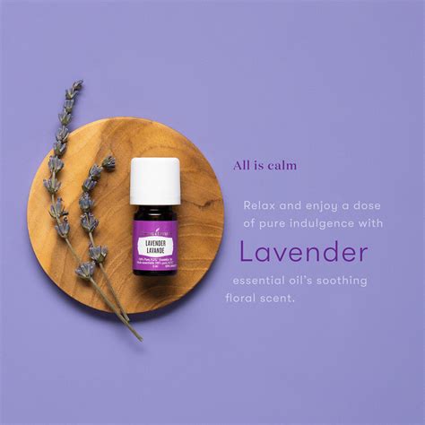 Plug In Diffuser Duet Diffuser Is A Plug In Atomising Oil Diffuser
