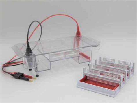实验室仪器设备 苏州阿尔法生物实验器材 实验室仪器