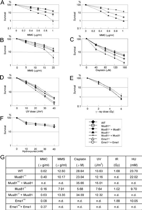 Sensitivity To DNA Damaging Agents A F Sensitivities To MMC Download Scientific Diagram