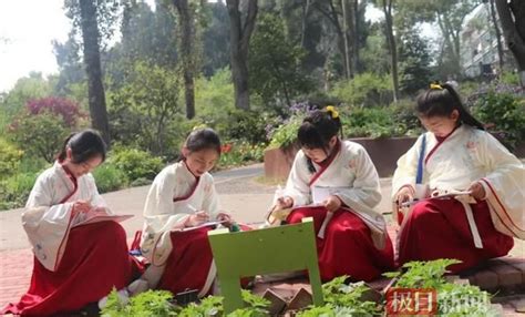 武汉植物园小学生春游 闪电鸟