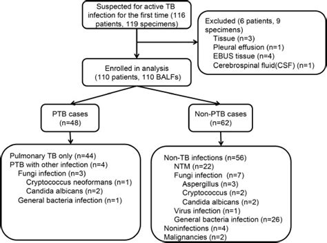 Primary Tuberculosis Infection