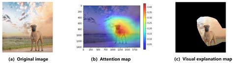 Applied Sciences Free Full Text Attention Map Guided Visual