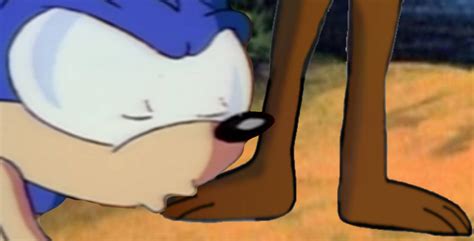 Sonic Kissing Sallys Toes By Othabland On Deviantart