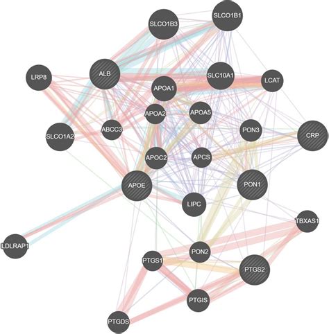 A Network Of Shared Genes A Mirnatarget Interaction Network For