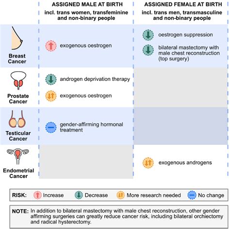 Understanding The Role Of Sex Hormones In Cancer For The Transgender Community PMC