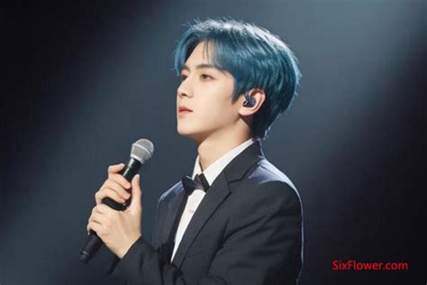 演唱会上给男明星送什么花好 六朵花