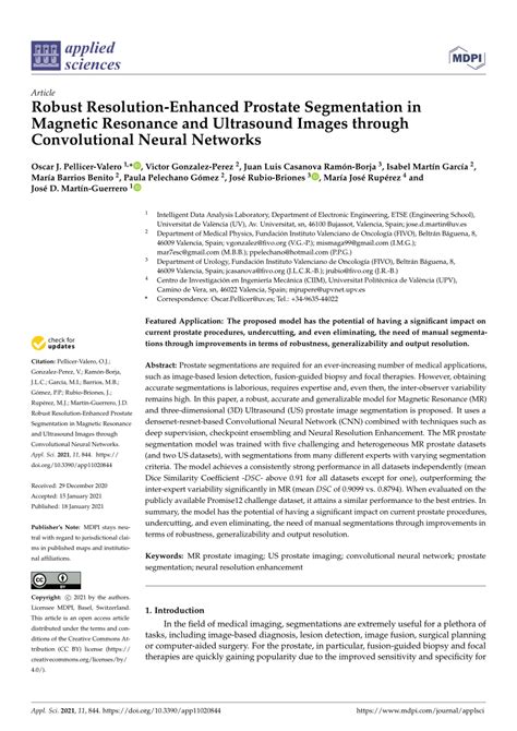 Pdf Robust Resolution Enhanced Prostate Segmentation In Magnetic Resonance And Ultrasound