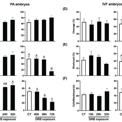 Post Implantation Development Of Scnt Embryos Produced Using Three