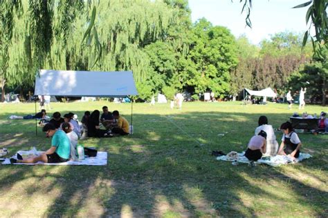朝阳公园，北京露营者的马尔代夫 体育·新城市 知乎