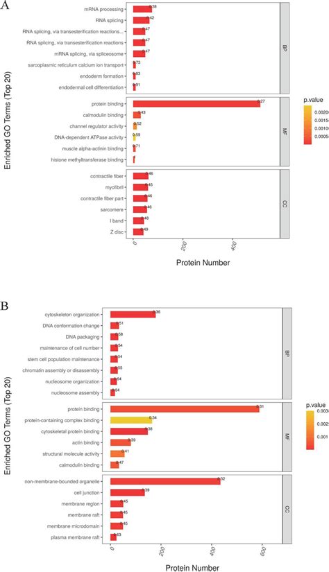 Gene Ontology Go Functional Enrichment Analysis Of Differentially Download Scientific Diagram