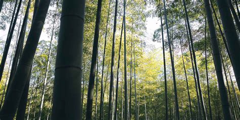 Jetbrains製 Ide をコマンドラインから起動する方法 · Nnammwork