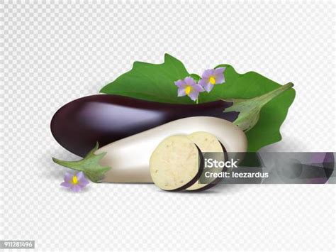 보라색과 흰색 채소의 벡터 집합입니다 투명 한 배경에서 분리 하는 보라색과 흰색 가지 0명에 대한 스톡 벡터 아트 및 기타 이미지 0명 개체 그룹 벡터 Istock