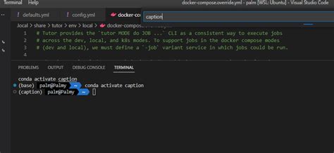 How Can I Disable Ctrlclick On Non Link Words In Vs Codes Terminal