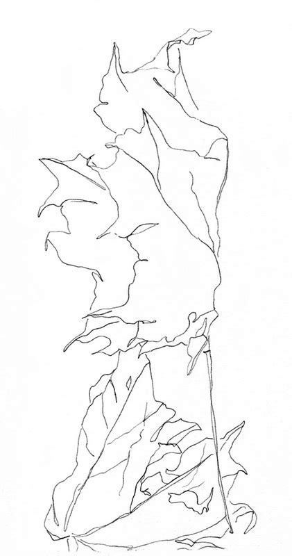 Leaves Blowing In The Wind Drawing At GetDrawings Free Download