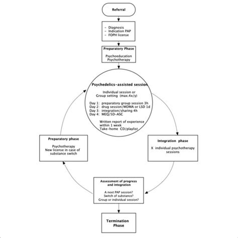 Flow Chart Of Procedures Download Scientific Diagram
