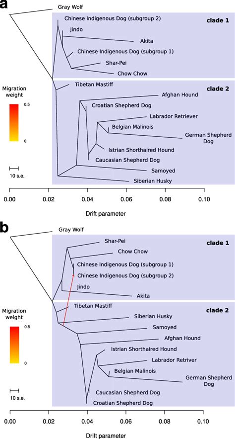 TreeMix Analysis Of The East Asian Breeds Together With Our WGS Download Scientific Diagram