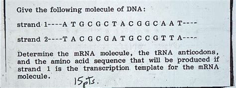 GET ANSWER Give The Following Molecule Of Dna Strand A T G C G C T A C G G C A A T Strand