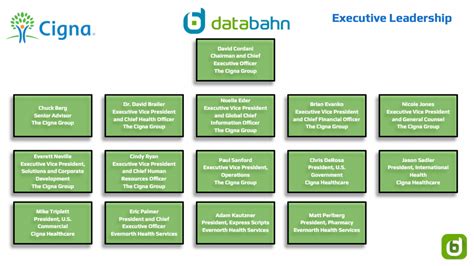 Cigna Org Chart In 2023 Databahn