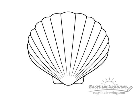 How To Draw Shells Step By Step EasyLineDrawing Shell Drawing Seashell Drawing Seashells