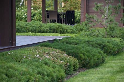 Озеленение у террасы Идеи для садового дизайна Современный ландшафт Дизайн озеленение