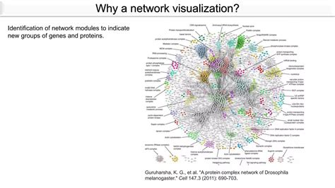 Metabolic Network Visualization Concepts Pptx
