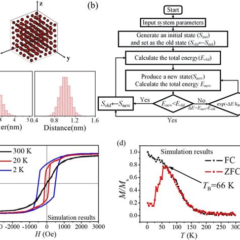 Simulation Results A Schematic Of Amorphous Granular System Model Download Scientific