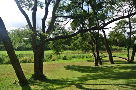 Letaba Junction Updated 2025 Reviews Photos And Prices