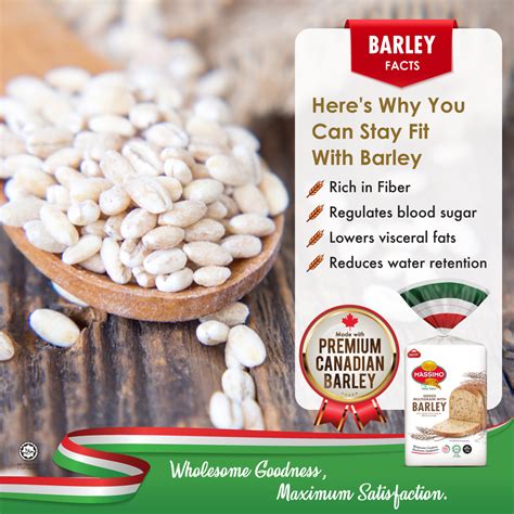 Massimo Bread ️ Barley Is A Heart Healthy Grain Rich In Facebook
