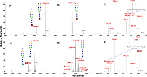 Comparison Of N Glycan Labeling By QUANTITY And AminoxyTMT 126 TMT Download Scientific