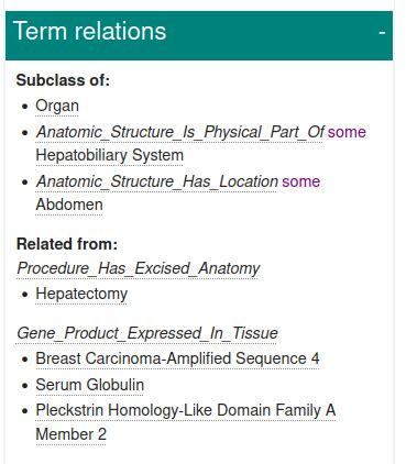 Owl Ontologies Only Built With Classes And Not Class Instances