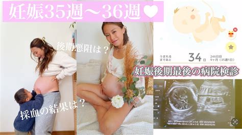 妊娠35週目36週目の妊娠記録生まれるまであと34日妊婦健診妊娠後期第2子妊娠中 YouTube