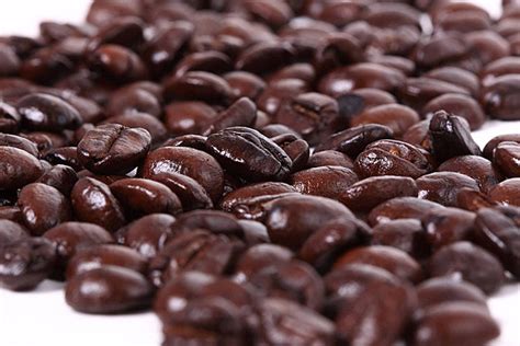 Pangasius Or Basa On Isloated Transparent Background Pangasius Pangasius Fish Sea Food Png