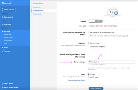 Setting Up Targeting And Behavior Of Pop Up Surveys Nicereply Help Center